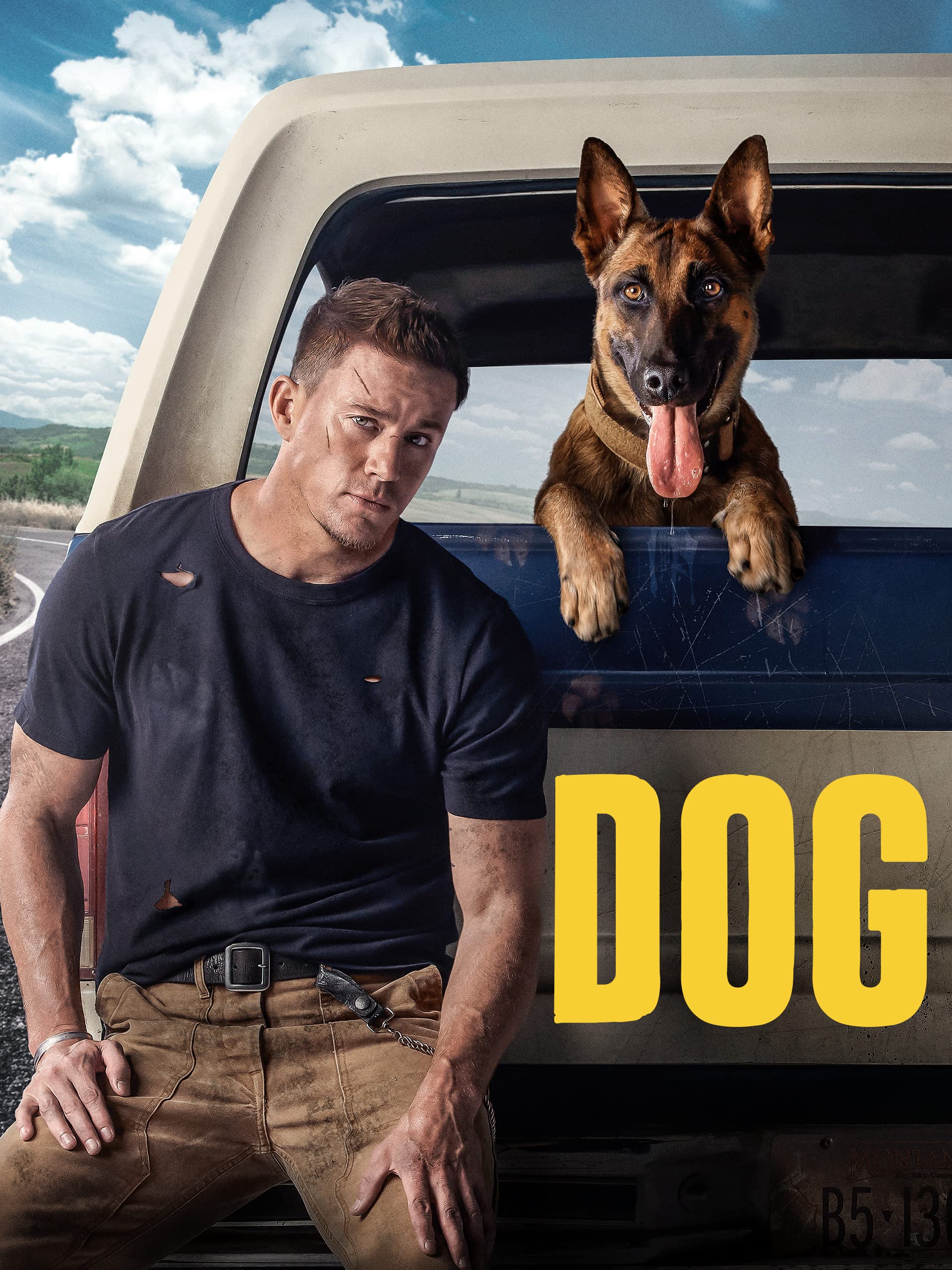 Caestecker Public Library | Thursday Movie Matinee- Dog Caestecker Public Library | Thursday Movie Matinee- Dog