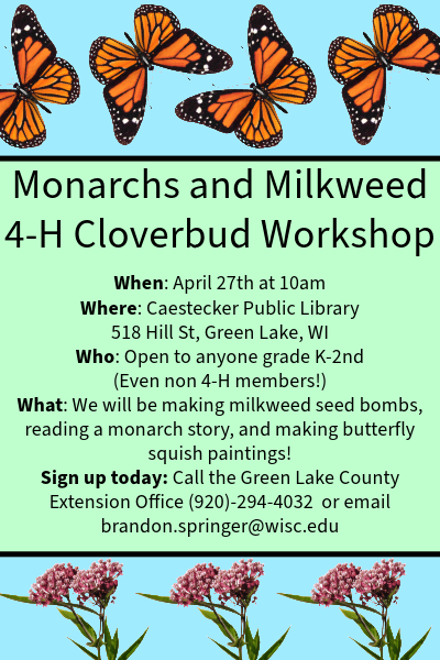 Caestecker Public Library | Monarch and Milkweed with Brandon Springer 4H