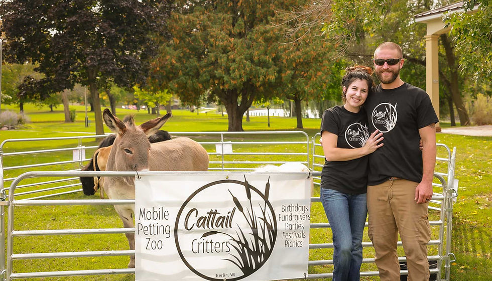 Caestecker Public Library | Summer Reading Program: Cattail Critters ...